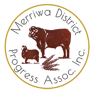 Logo Voting – MDPA